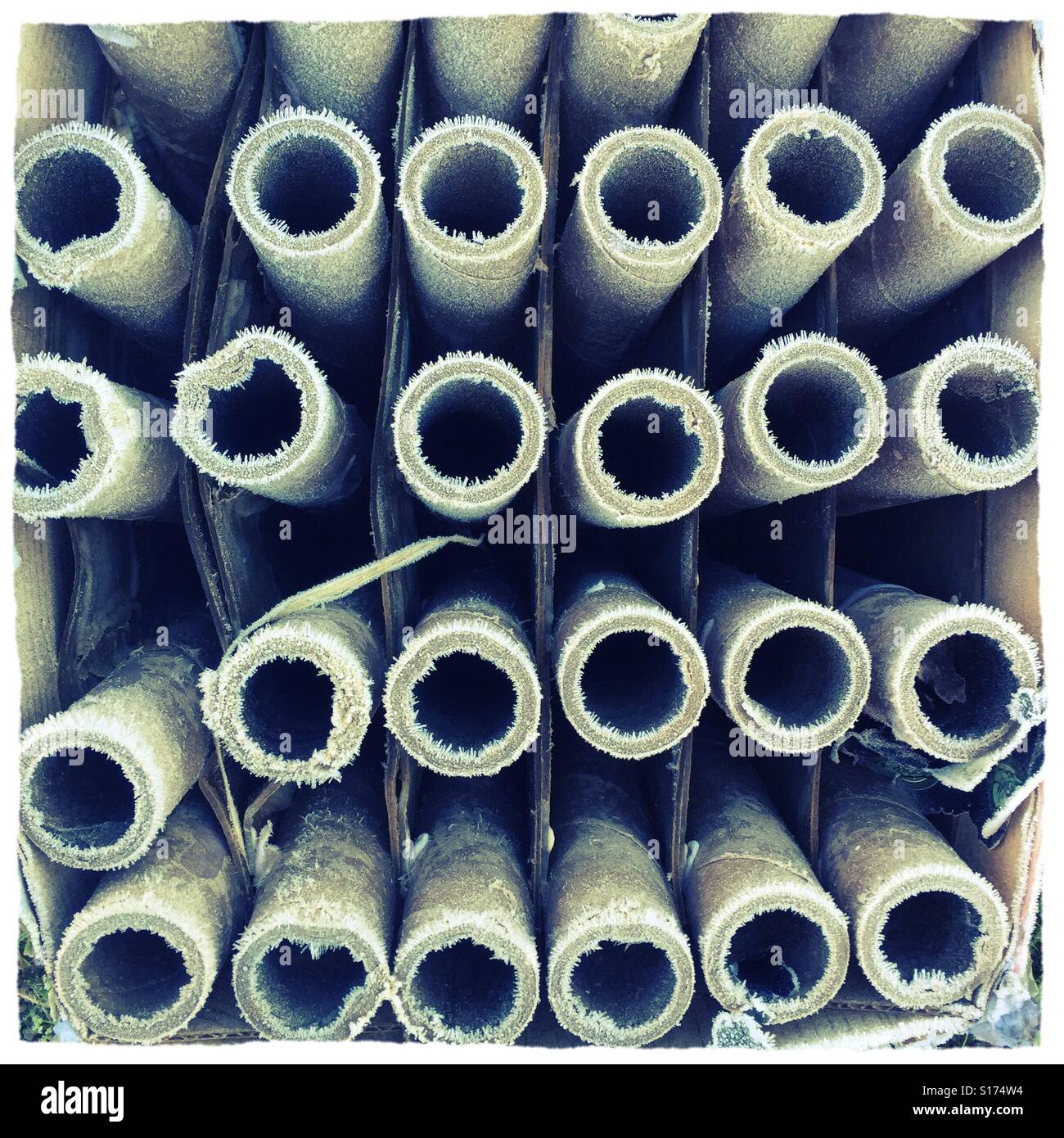 Box of empty frosted firework cylinders left out in the cold Stock ...
