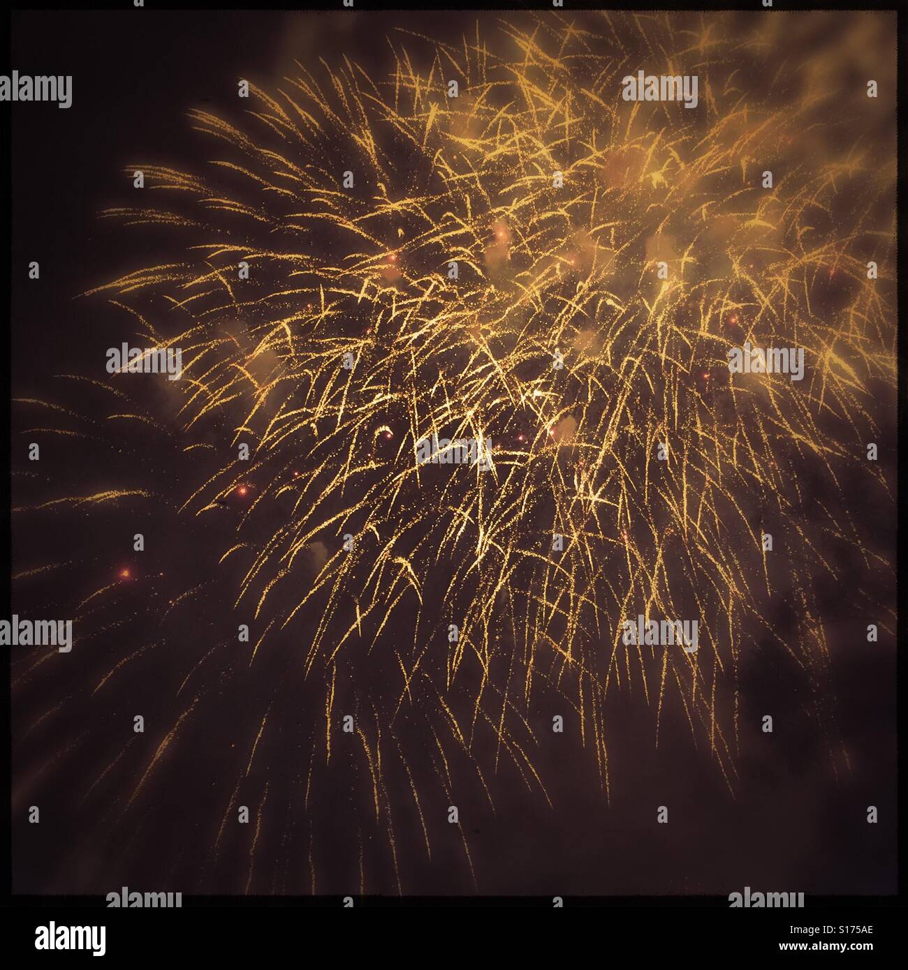 Fire flowers hi-res stock photography and images - Alamy