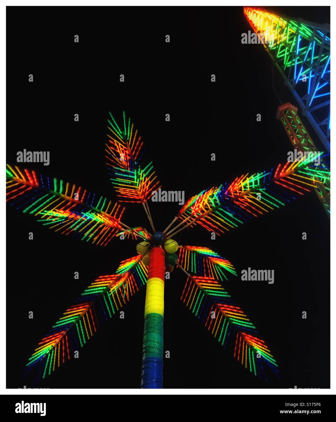 Neon lit palm tree Stock Photo - Alamy