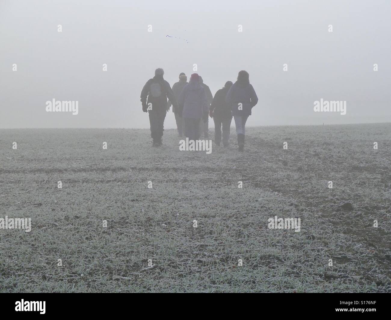 Fog walking hi-res stock photography and images - Alamy