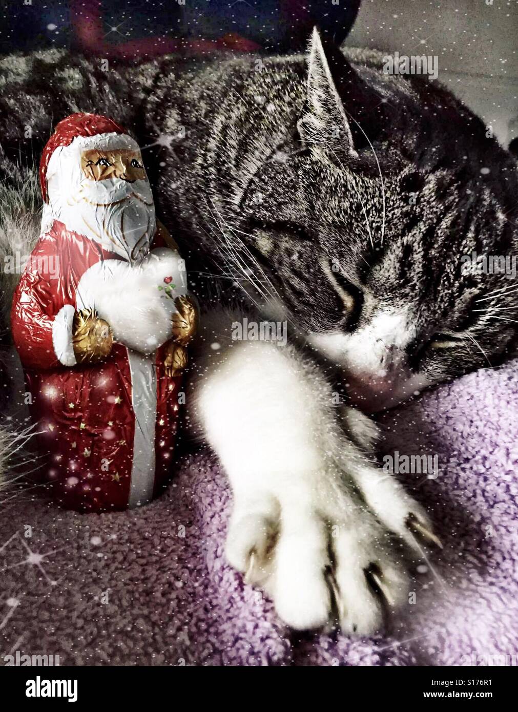 Wake up, santa is here!! Stock Photo - Alamy