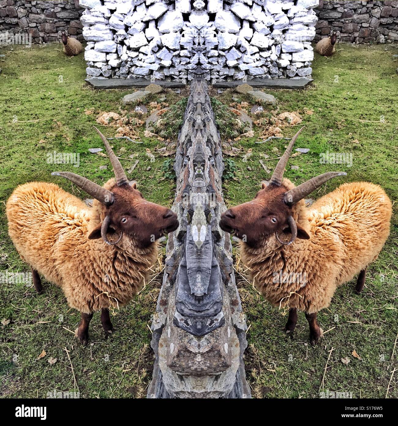 Two horns hi-res stock photography and images - Alamy