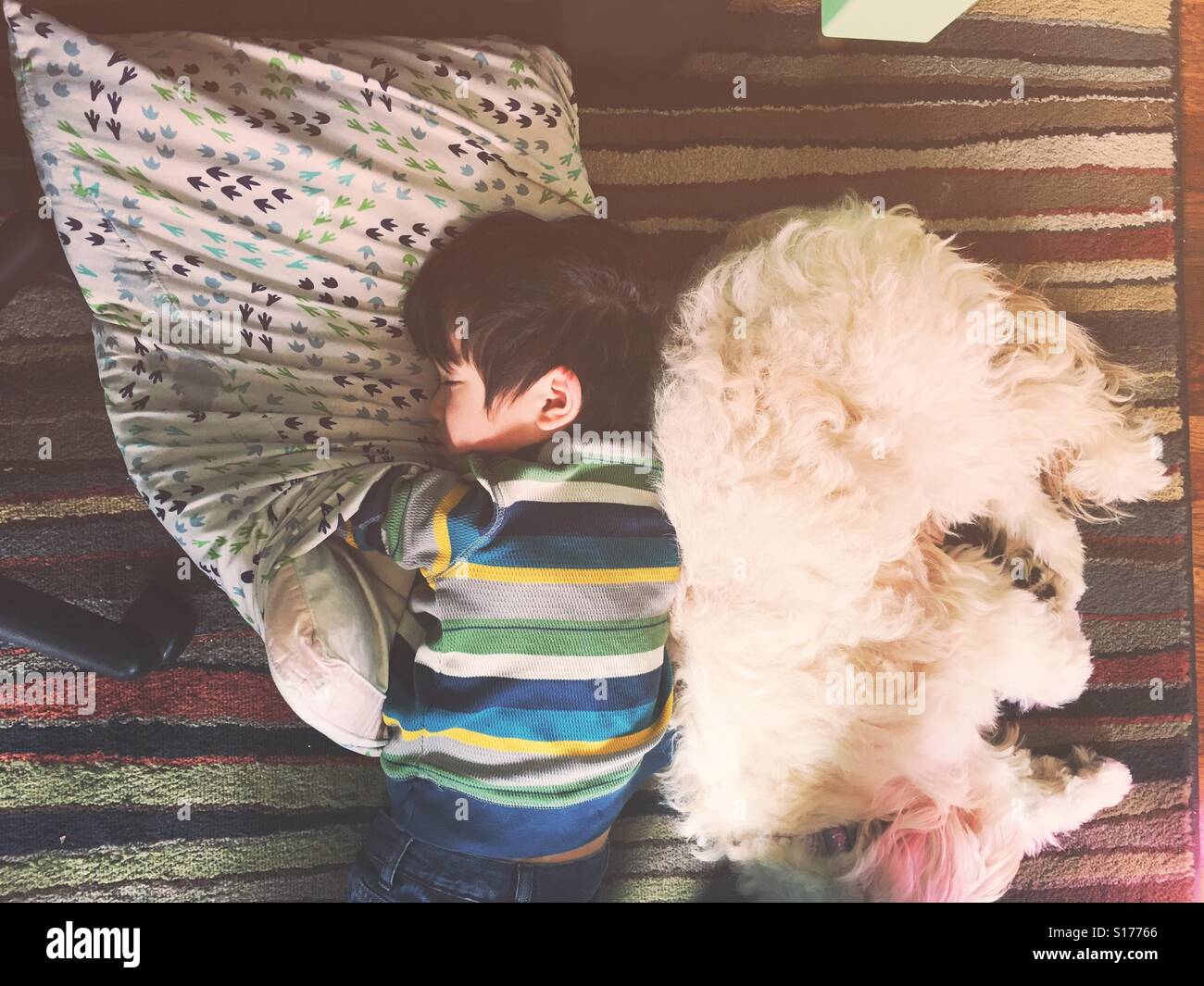 Asian furry hi-res stock photography and images - Alamy