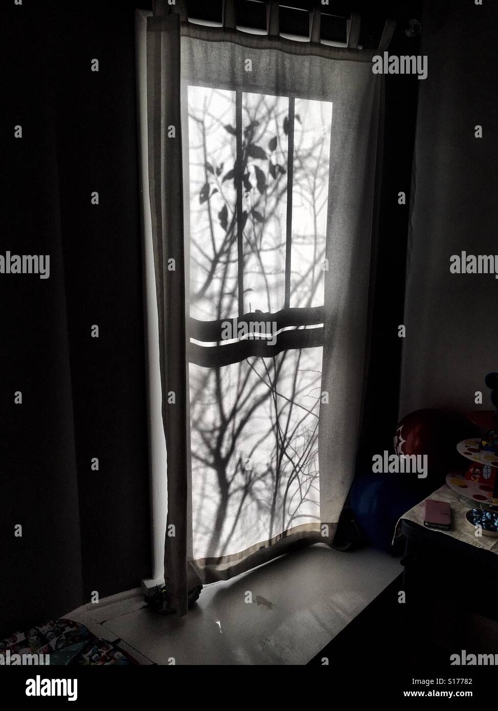 A tree branch with leaves on it is seen through a window and curtain ...