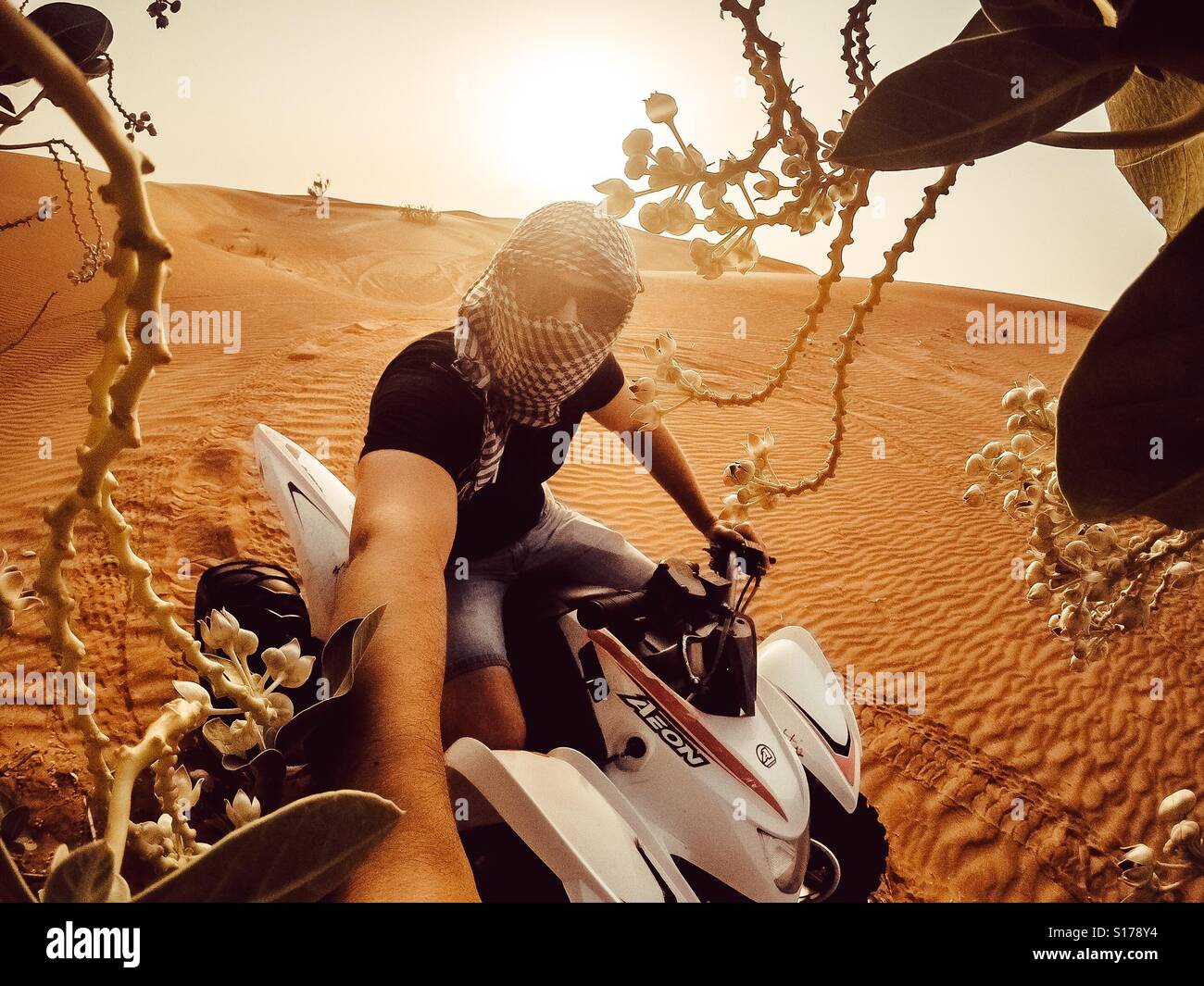 Nice desert hi-res stock photography and images - Alamy