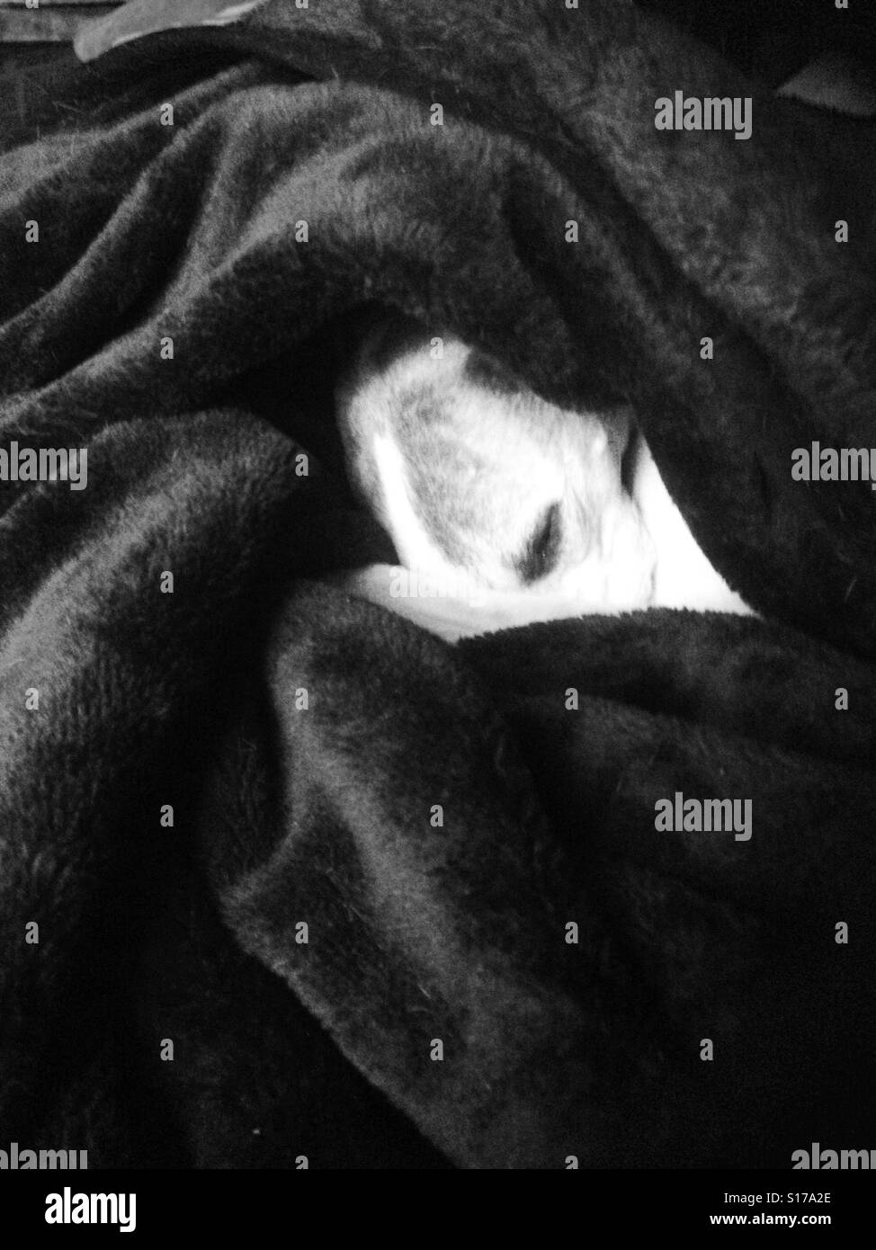 Snug As A Bug High Resolution Stock Photography and Images - Alamy