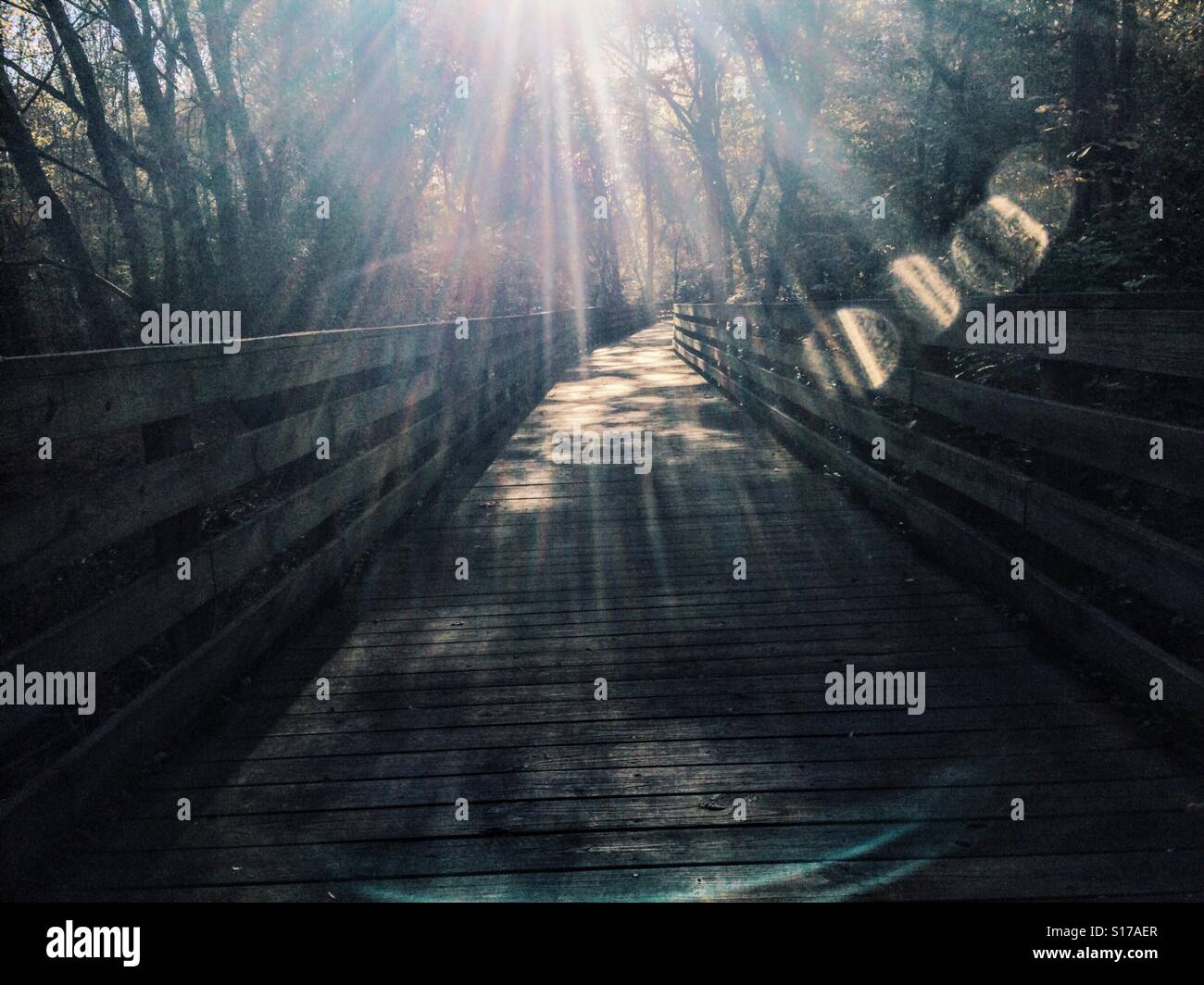 An edited life hi-res stock photography and images - Alamy