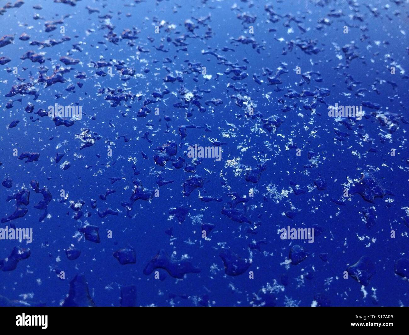 Car surface hi-res stock photography and images - Alamy