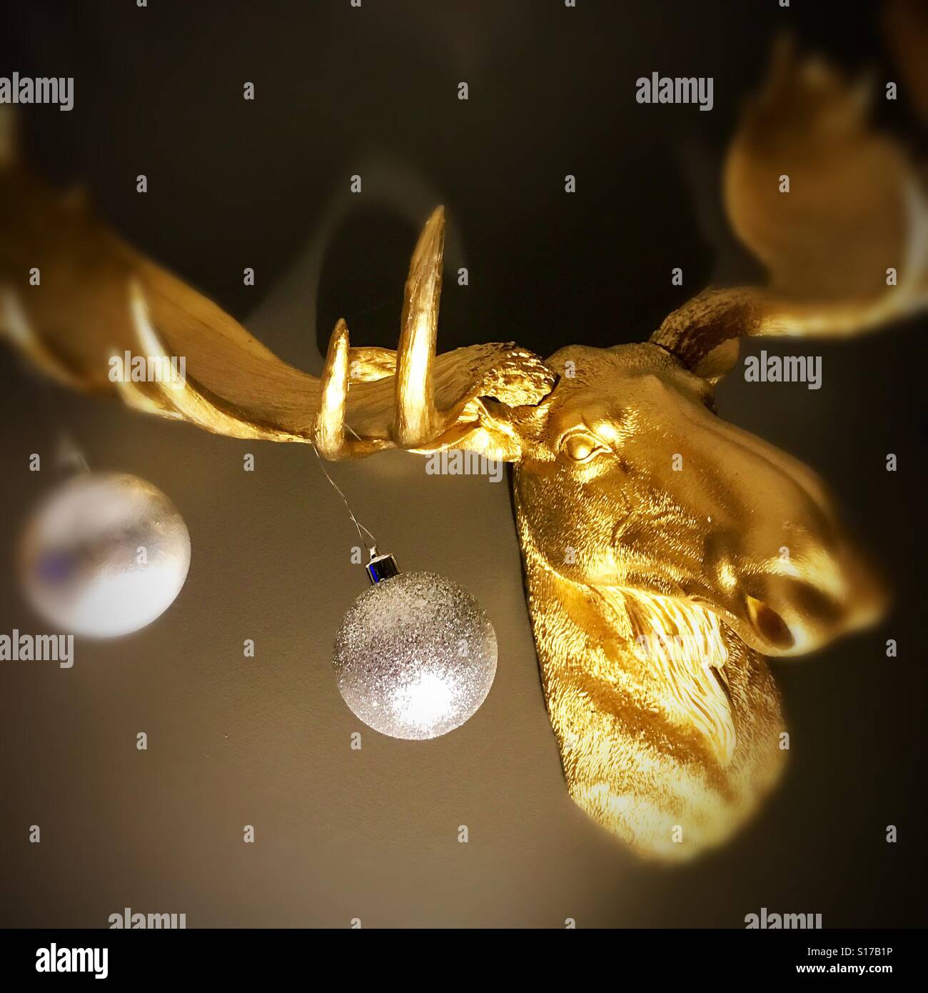 A fake gold moose with Christmas ornaments hanging from its antlers ...