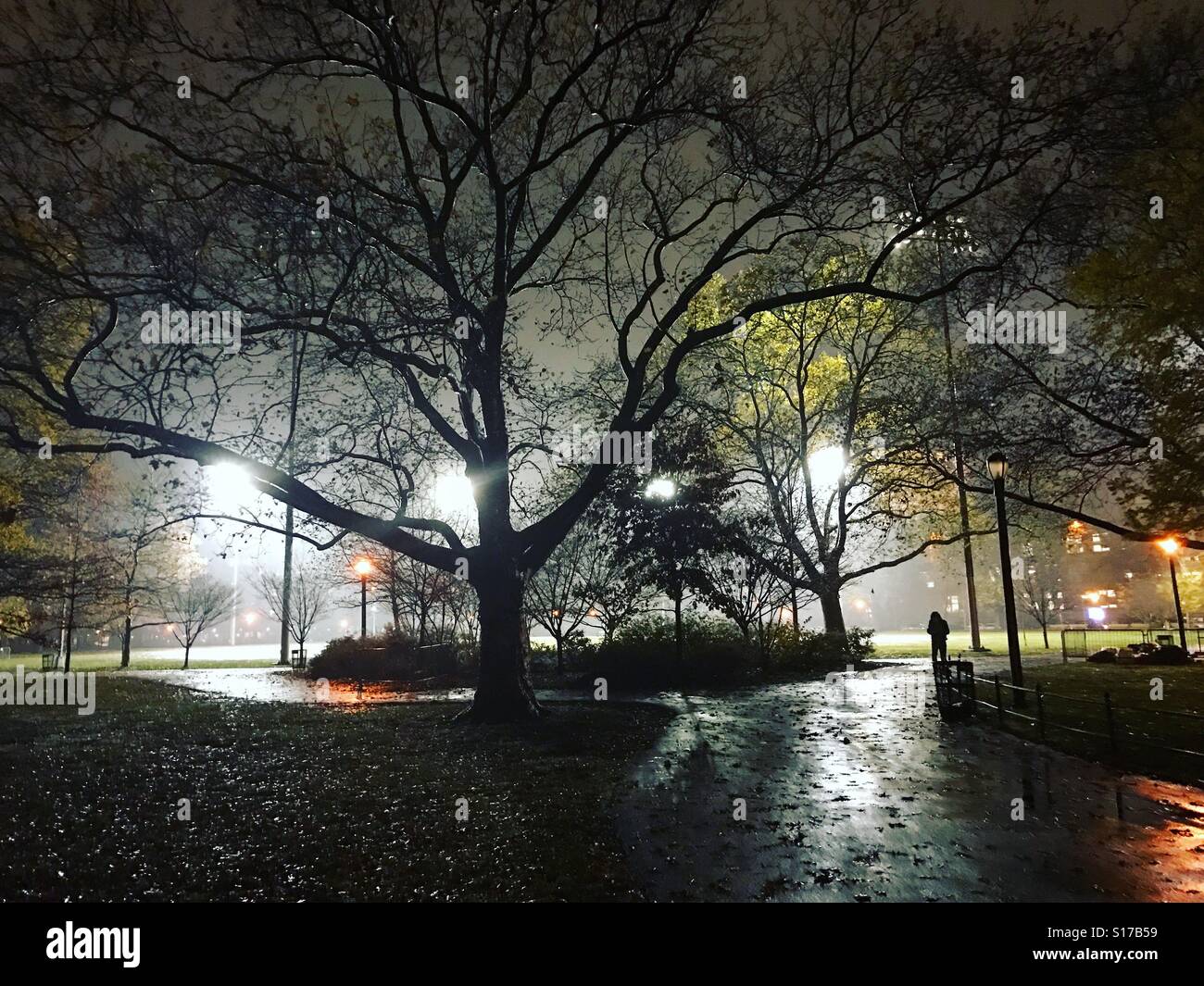 Mccarren park hi-res stock photography and images - Alamy