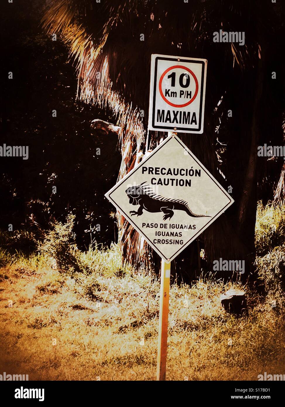 Mexico road signs hi-res stock photography and images - Alamy