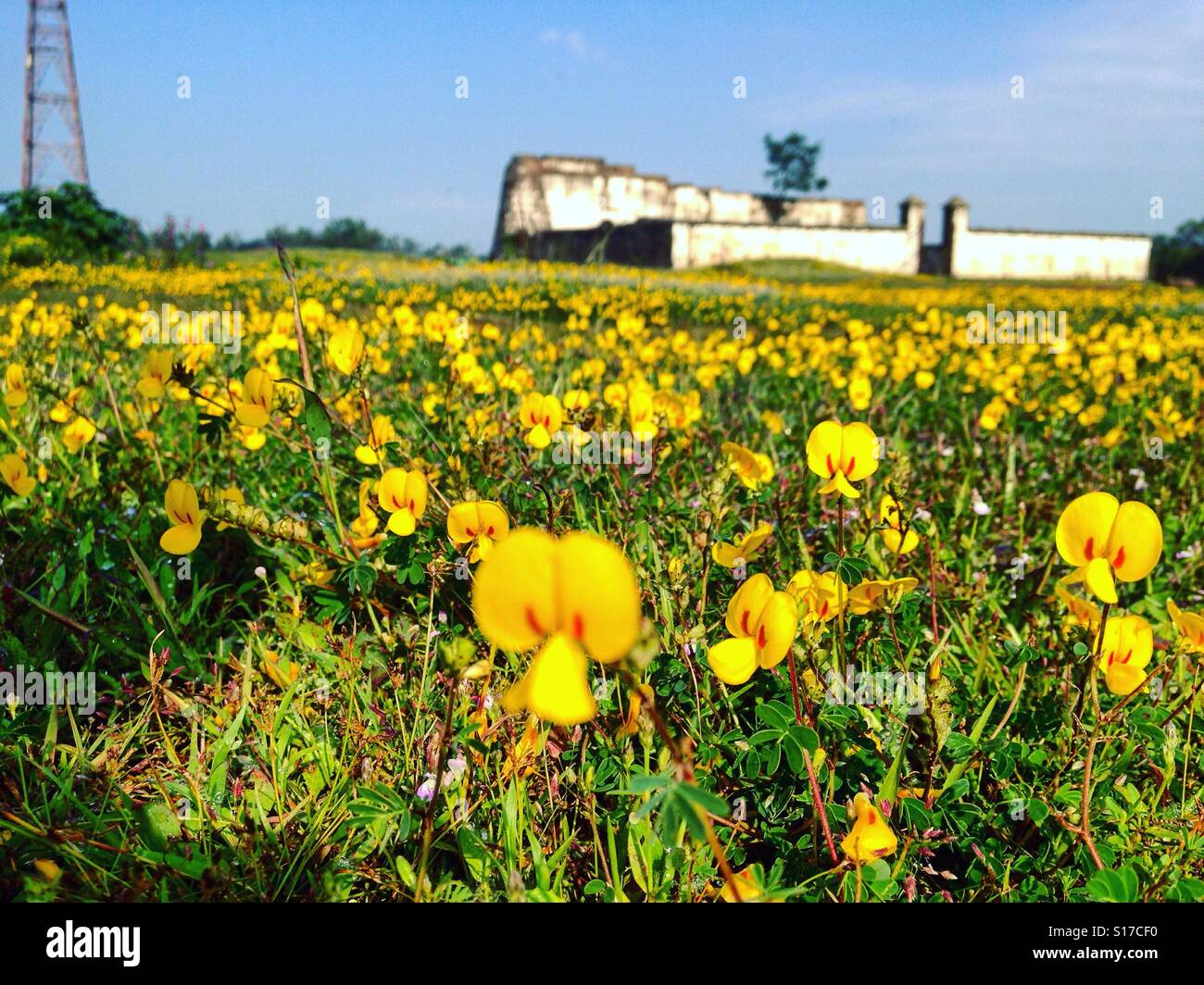 Panhala hi-res stock photography and images - Alamy