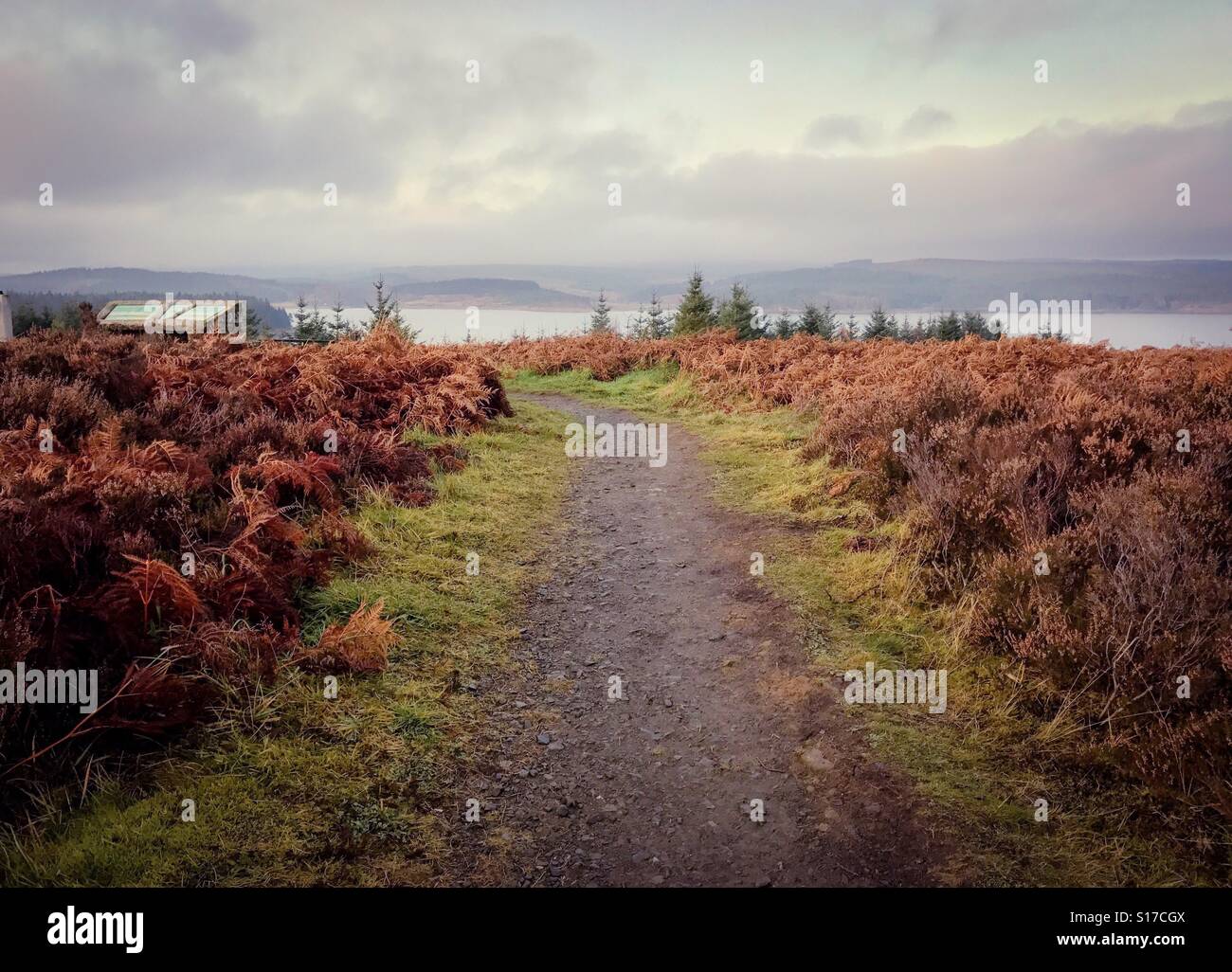 Kielder northumberland hi-res stock photography and images - Alamy