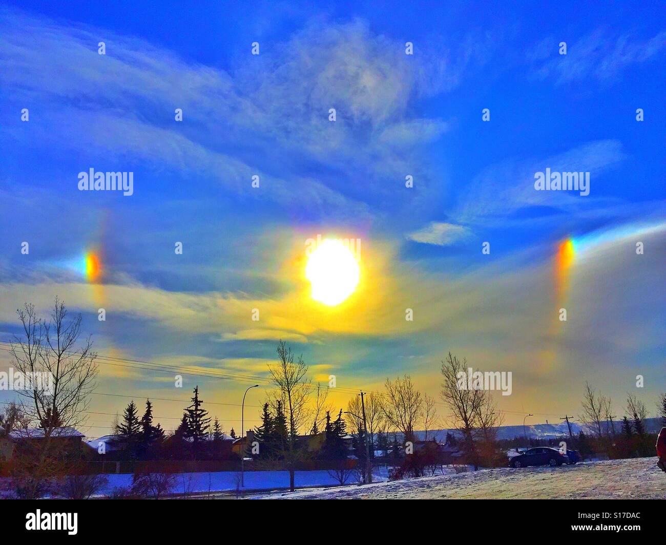 Two dogs sun hi-res stock photography and images - Alamy