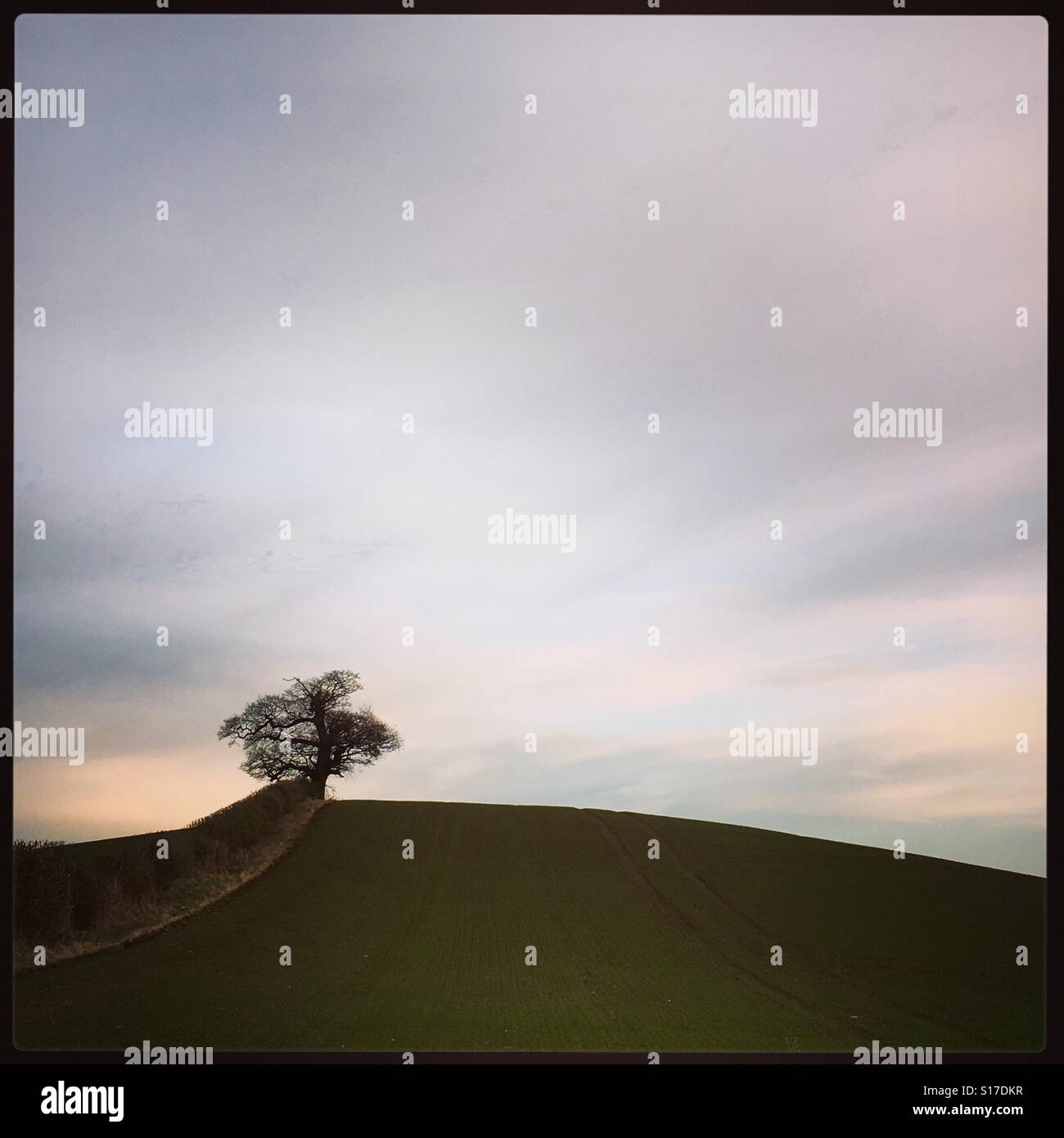 Sloping hill hi-res stock photography and images - Alamy