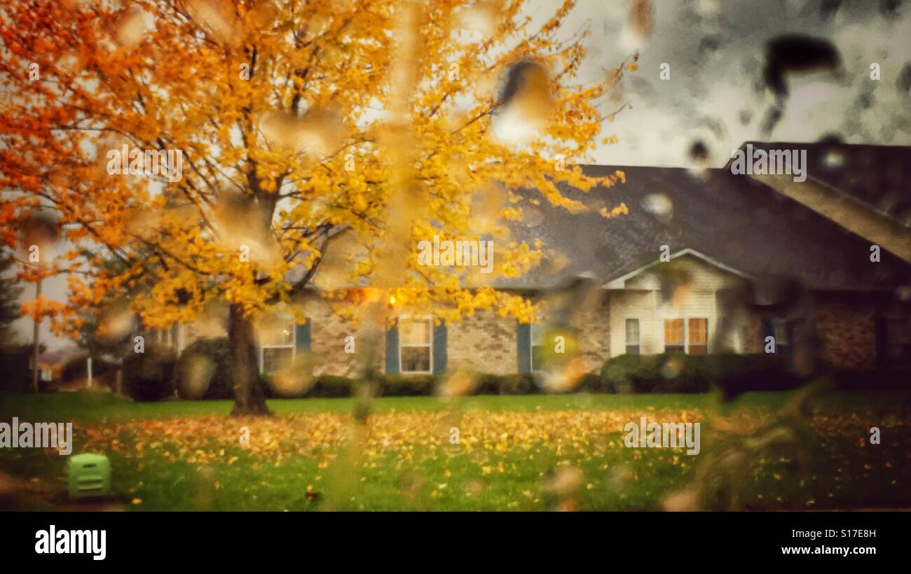 Raining autumn hi-res stock photography and images - Alamy