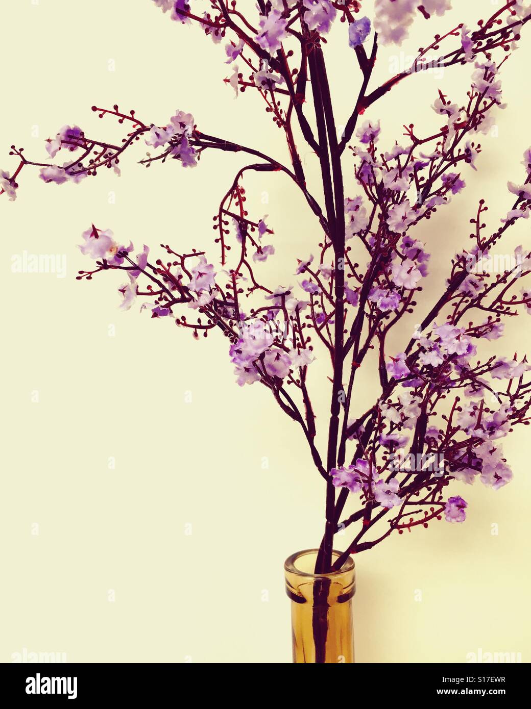 Gypso flowers hi-res stock photography and images - Alamy