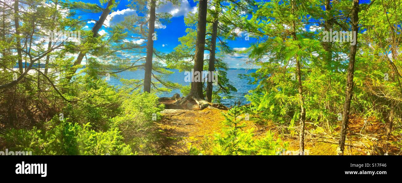 Sunny lakeshore view hi-res stock photography and images - Alamy
