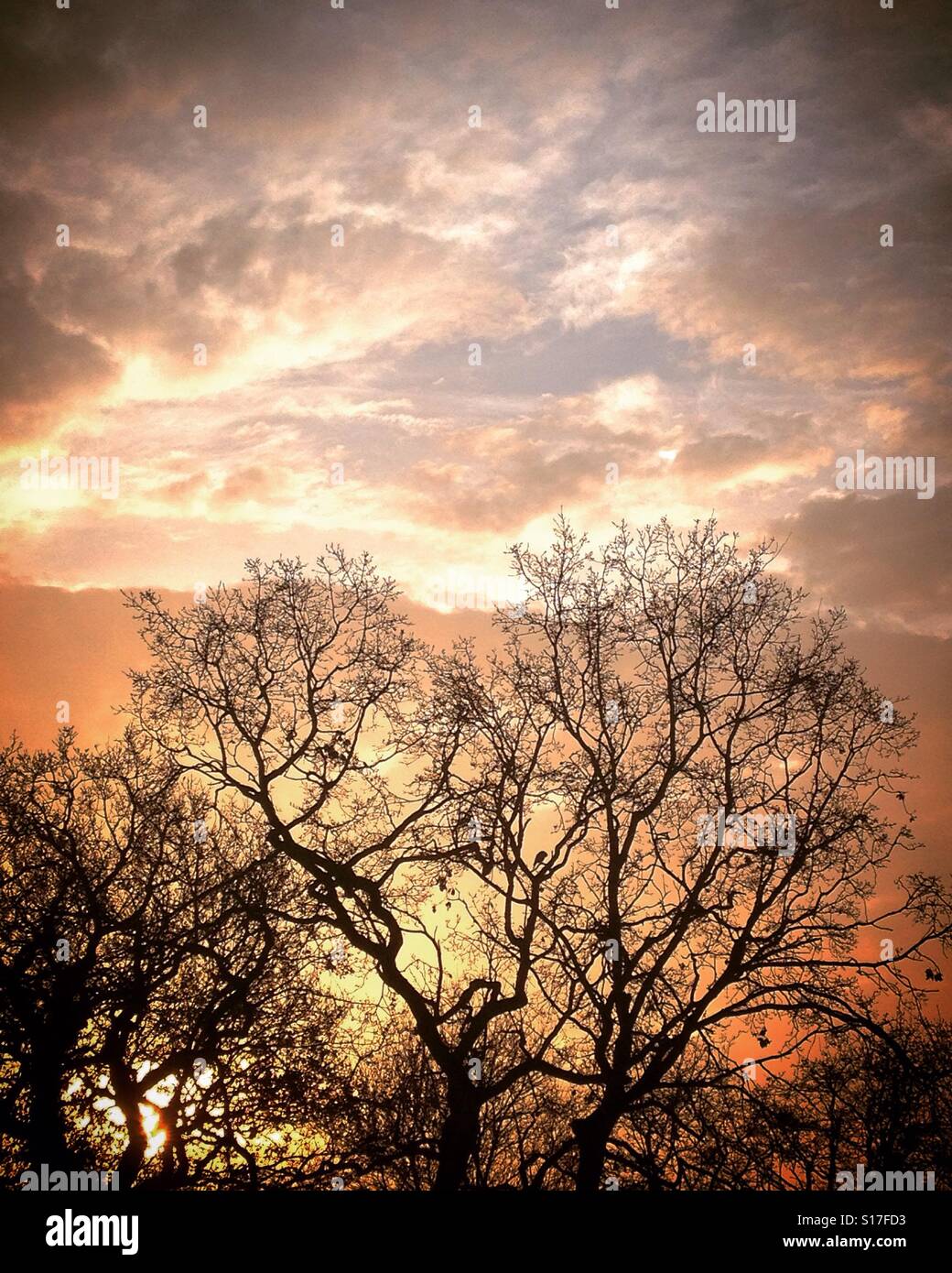 Red sky in the morning hi-res stock photography and images - Alamy