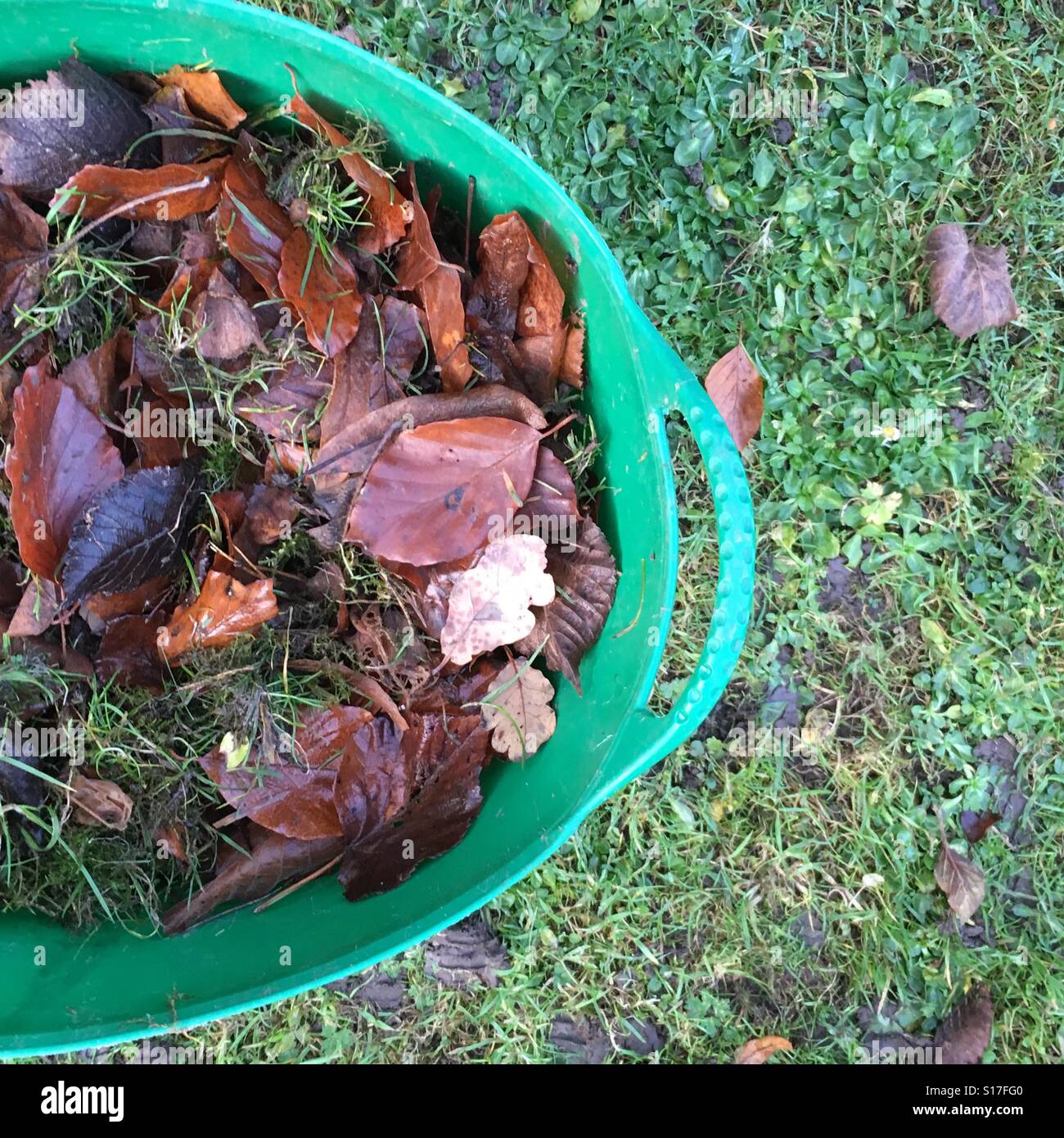 Collecting Bucket Stock Photos & Collecting Bucket Stock Images - Alamy