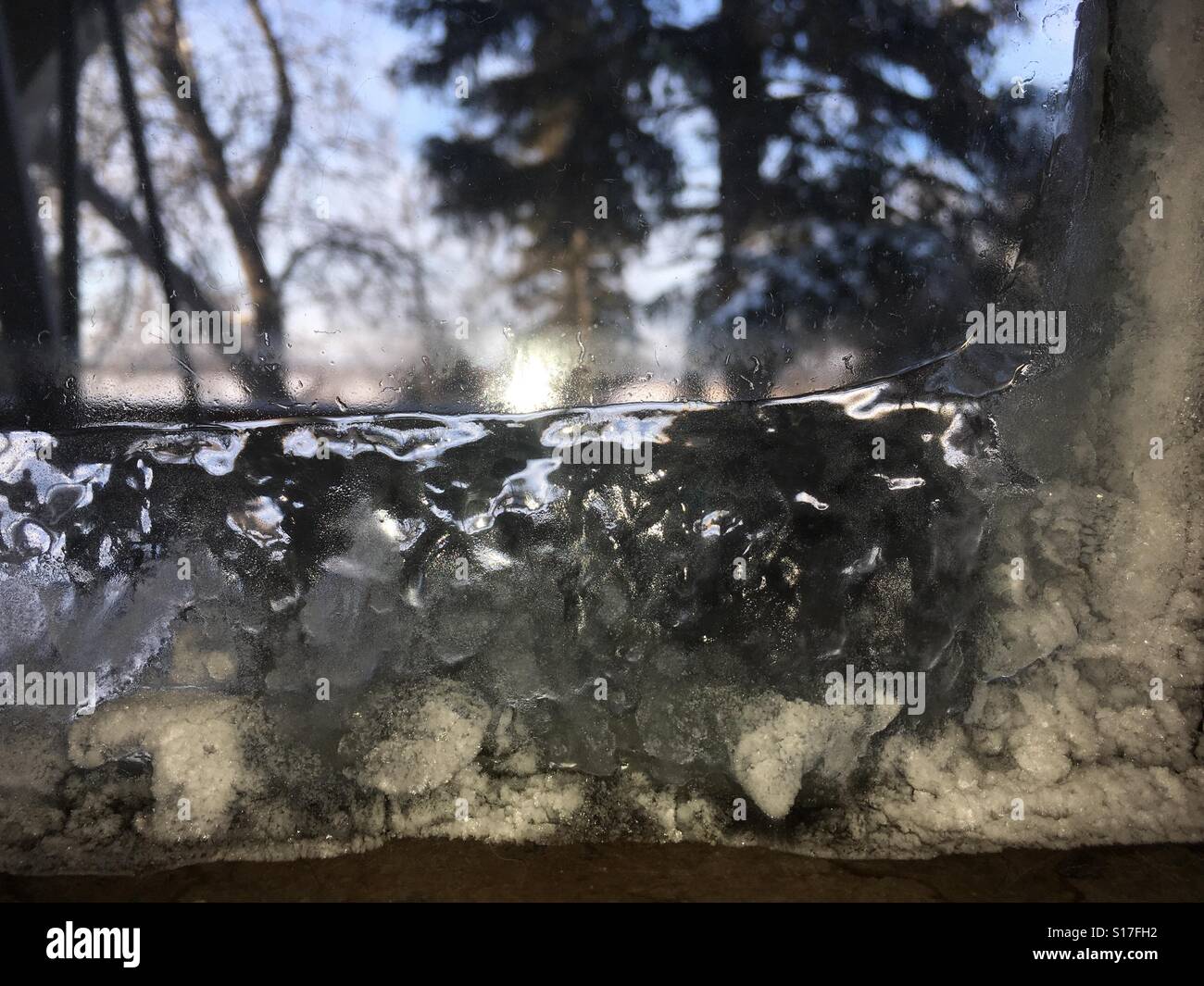 Iced trees hi-res stock photography and images - Alamy