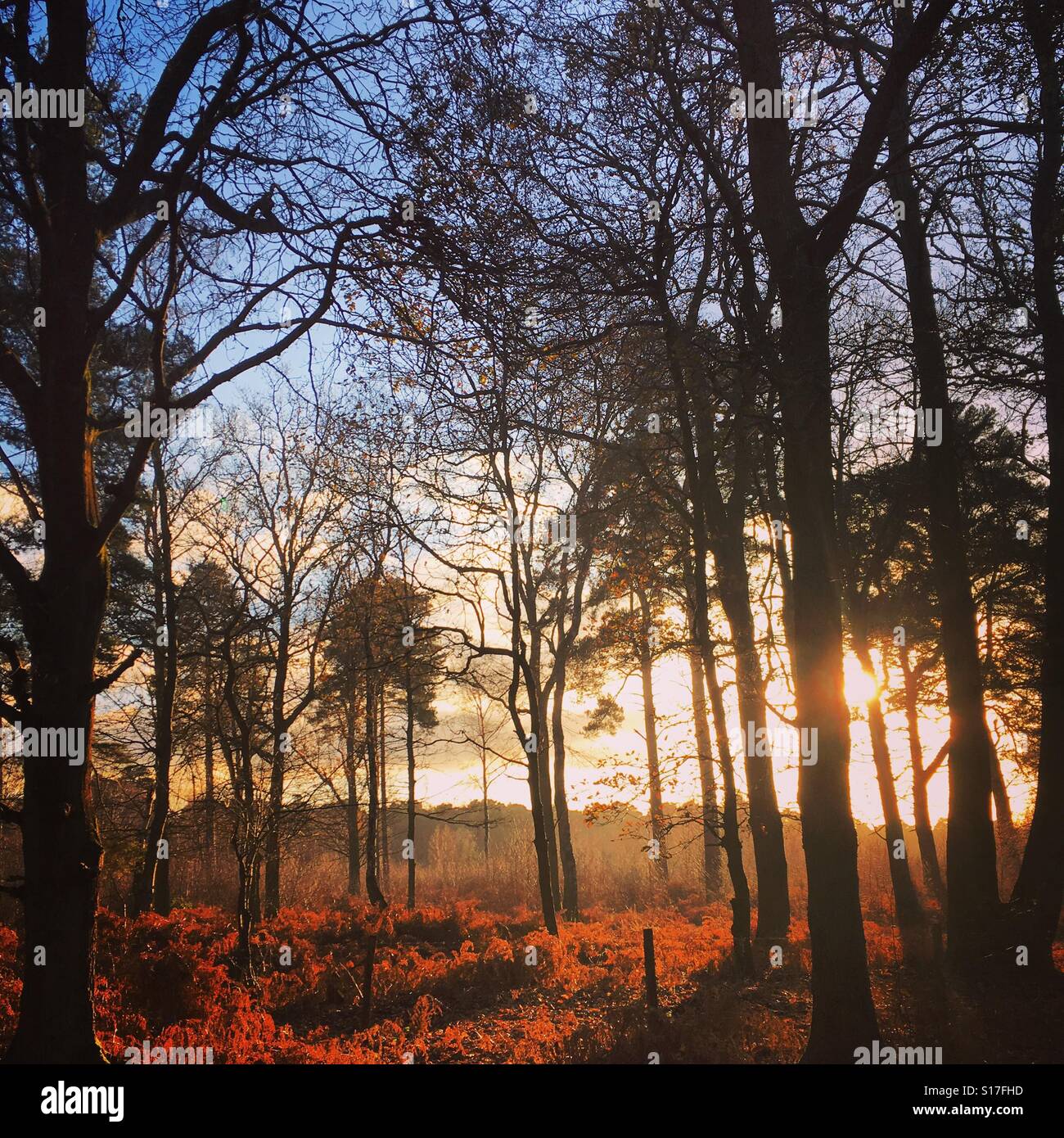 Beautiful walk hi-res stock photography and images - Alamy