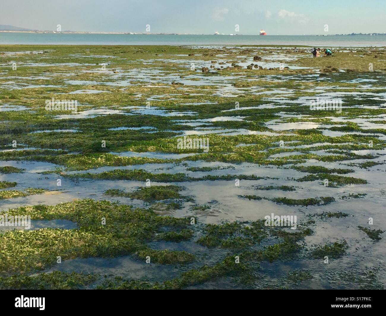 Jawa Island High Resolution Stock Photography and Images - Alamy