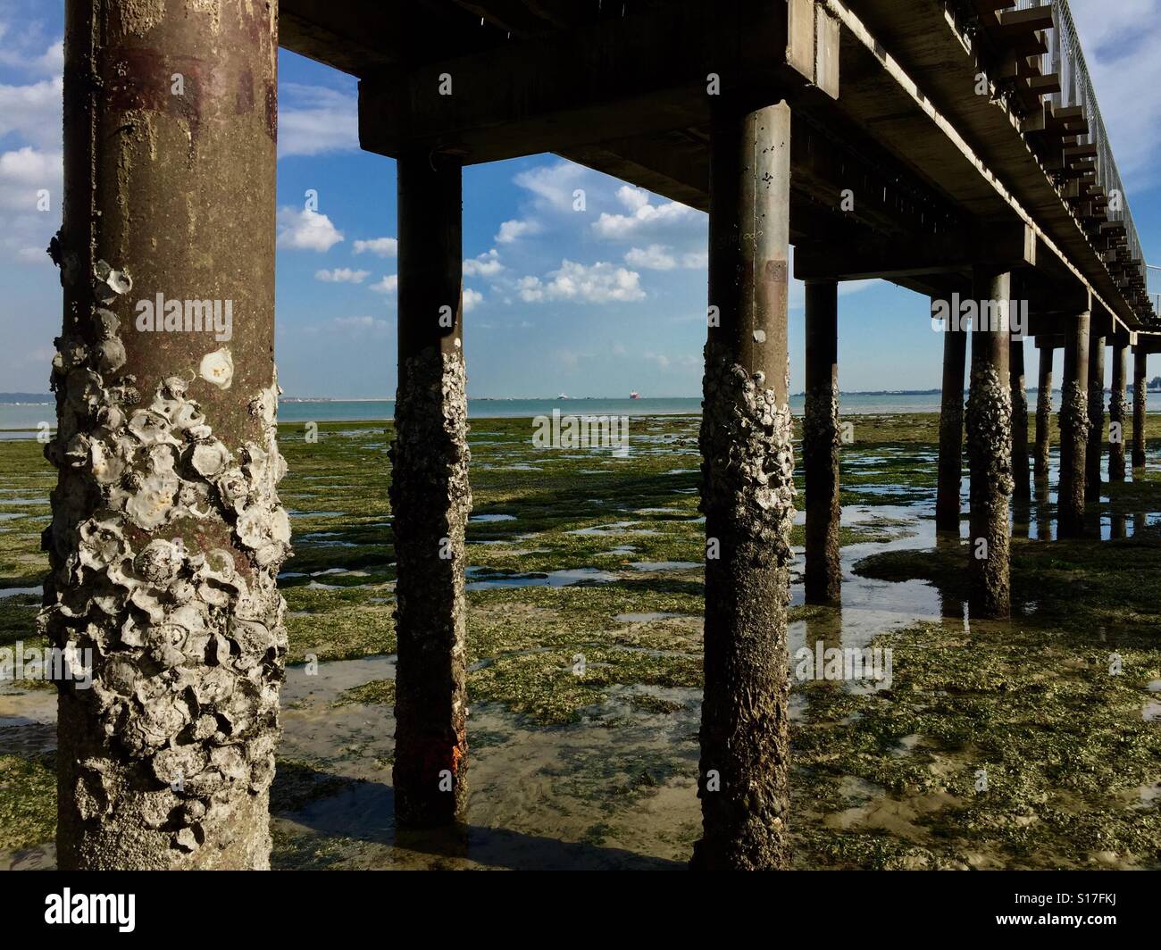 Jetty Poles High Resolution Stock Photography and Images - Alamy