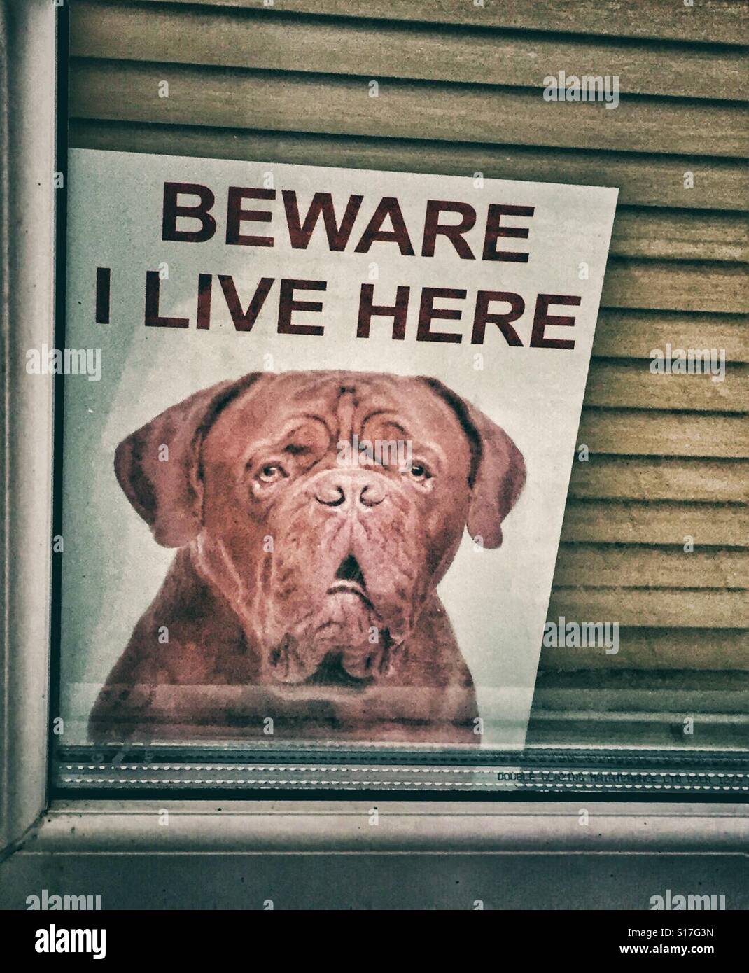 Beware of the dog sticker on window of house Stock Photo - Alamy