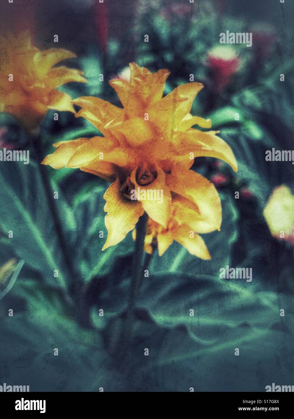 Creepy feel hi-res stock photography and images - Alamy