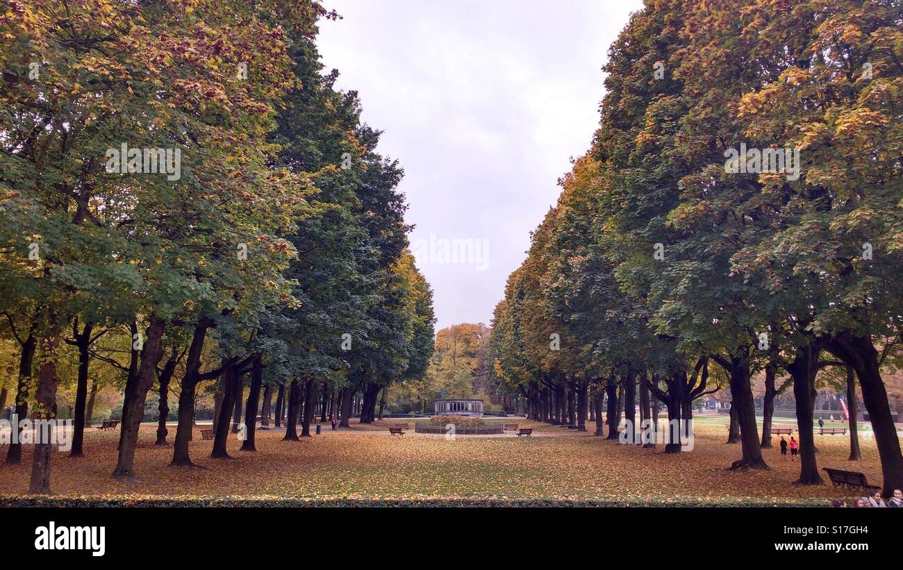 Fall Of Belgium High Resolution Stock Photography and Images - Alamy