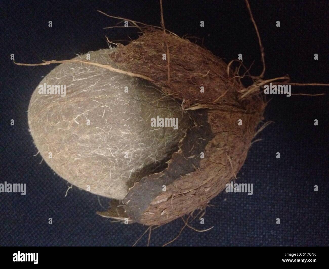 Hairy coconut hi-res stock photography and images - Alamy