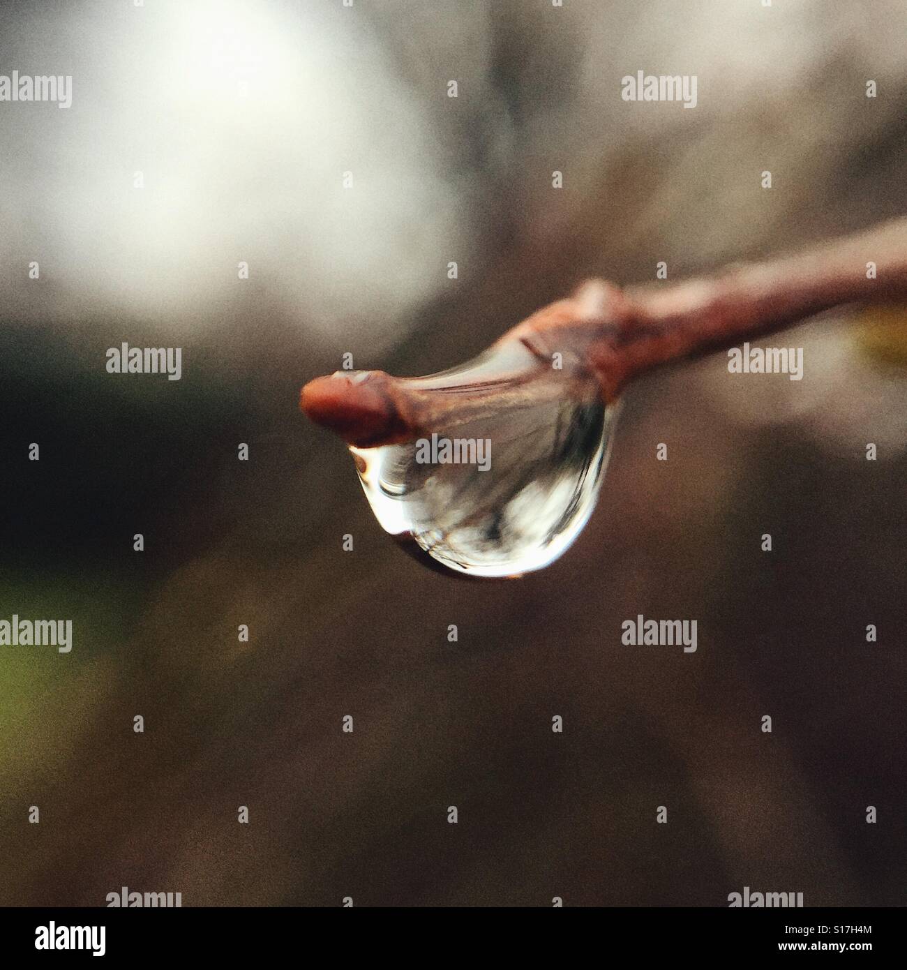 One wood hi-res stock photography and images - Alamy