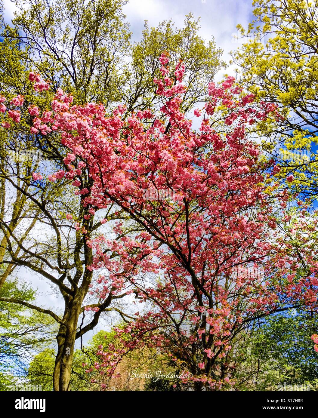 Your feelings hi-res stock photography and images - Alamy