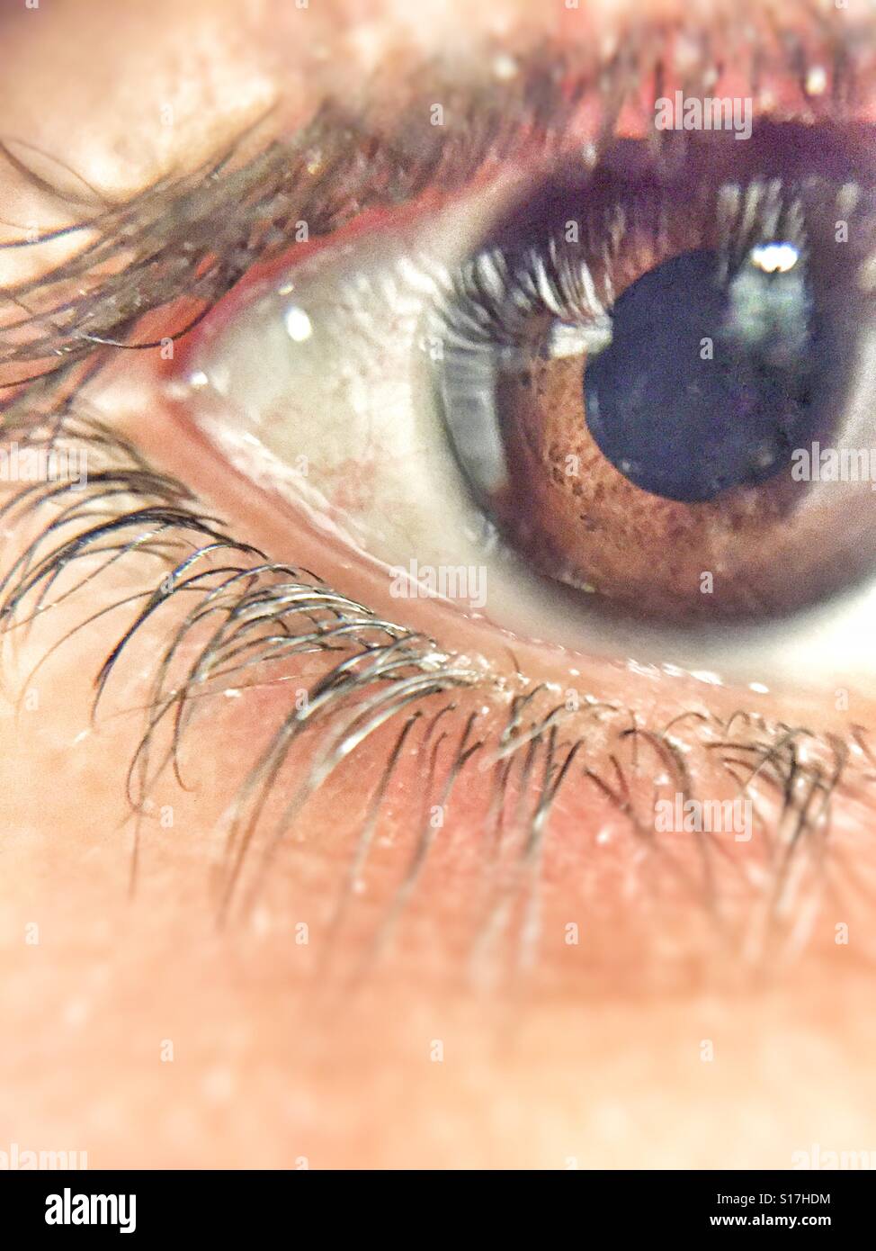 Human eye hi-res stock photography and images - Alamy