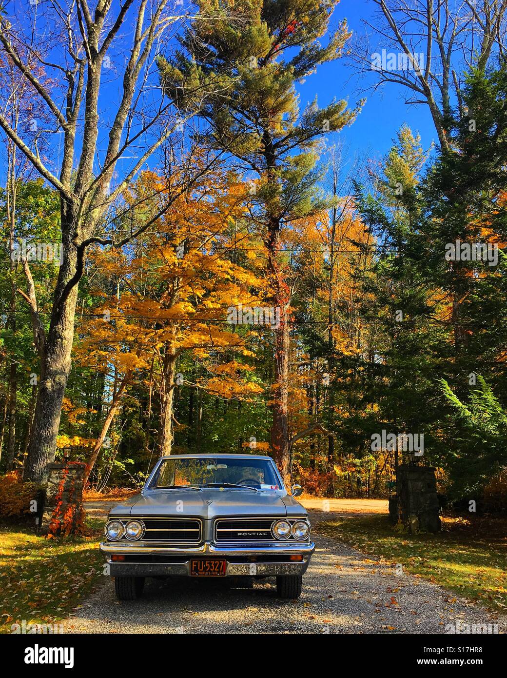 1964 pontiac hi-res stock photography and images - Alamy