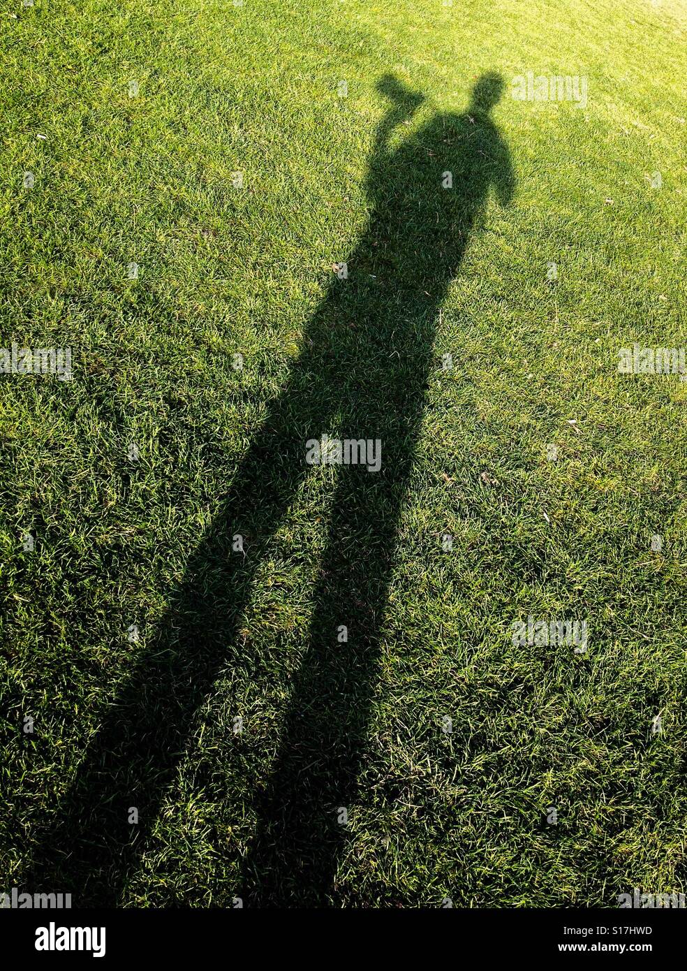 Shadow of a Person with a Camera ob grass in Berlin, Germany Stock ...