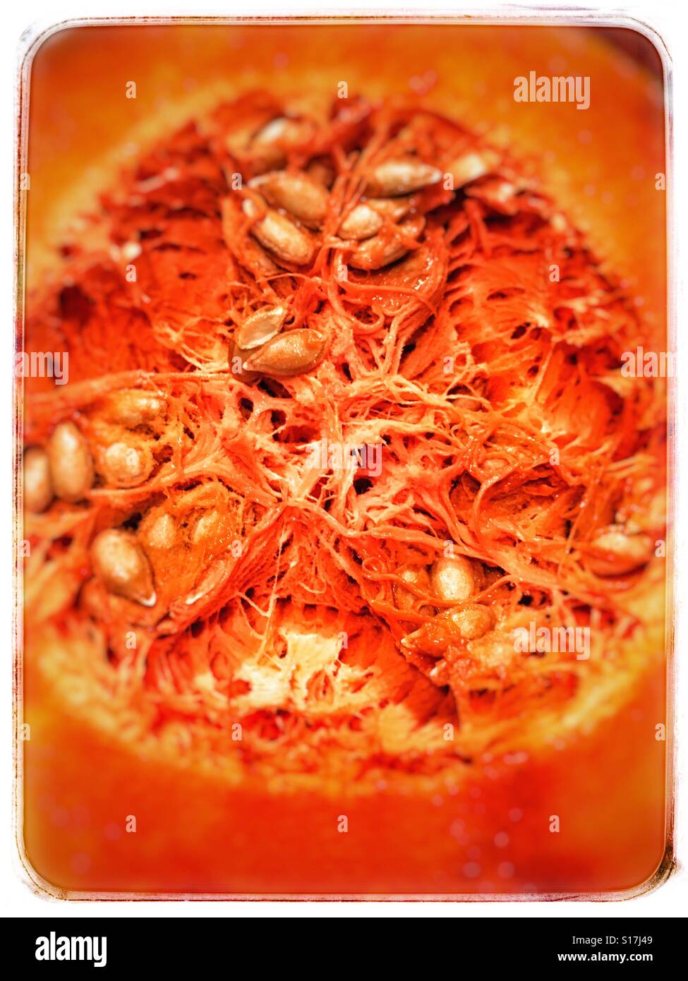 Butterkin hi-res stock photography and images - Alamy