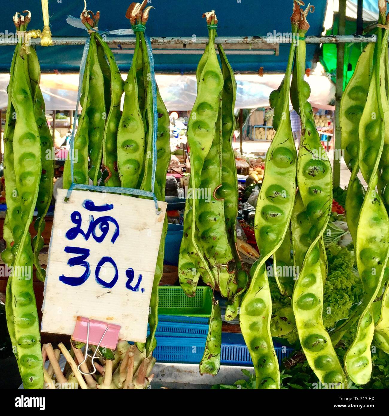 Stinking beans selling at local Thai market, Phuket Old Town,Thailand ...