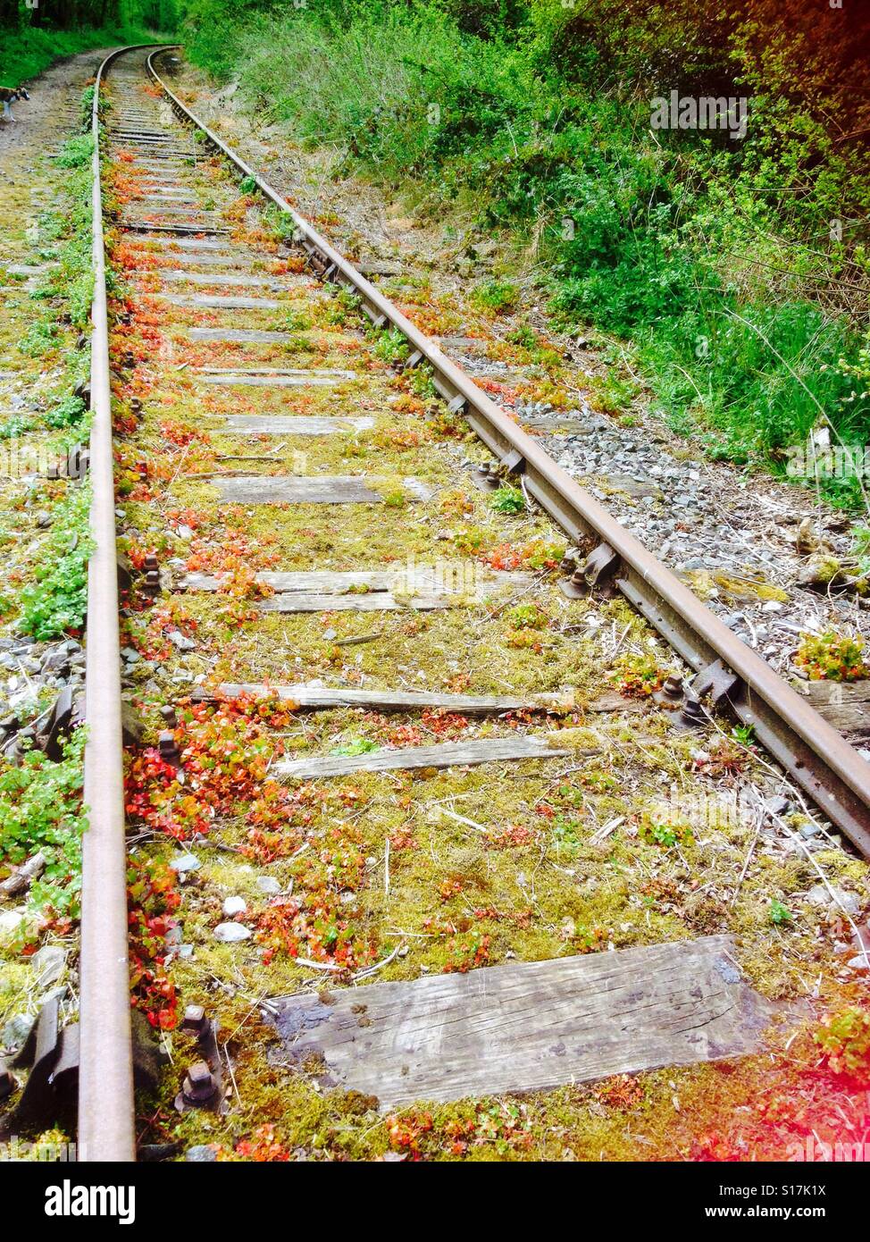 Tracks of life Stock Photo - Alamy