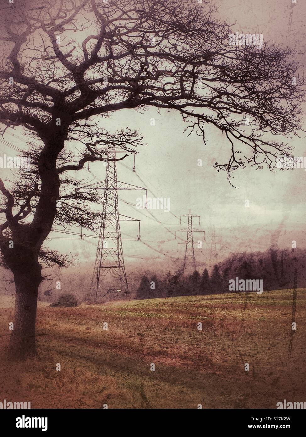 Pylons in countryside hi-res stock photography and images - Alamy