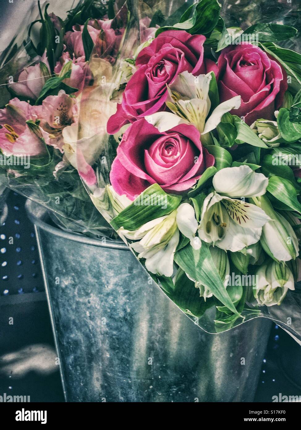 Flowers Wrapped In Cellophane High Resolution Stock Photography and ...