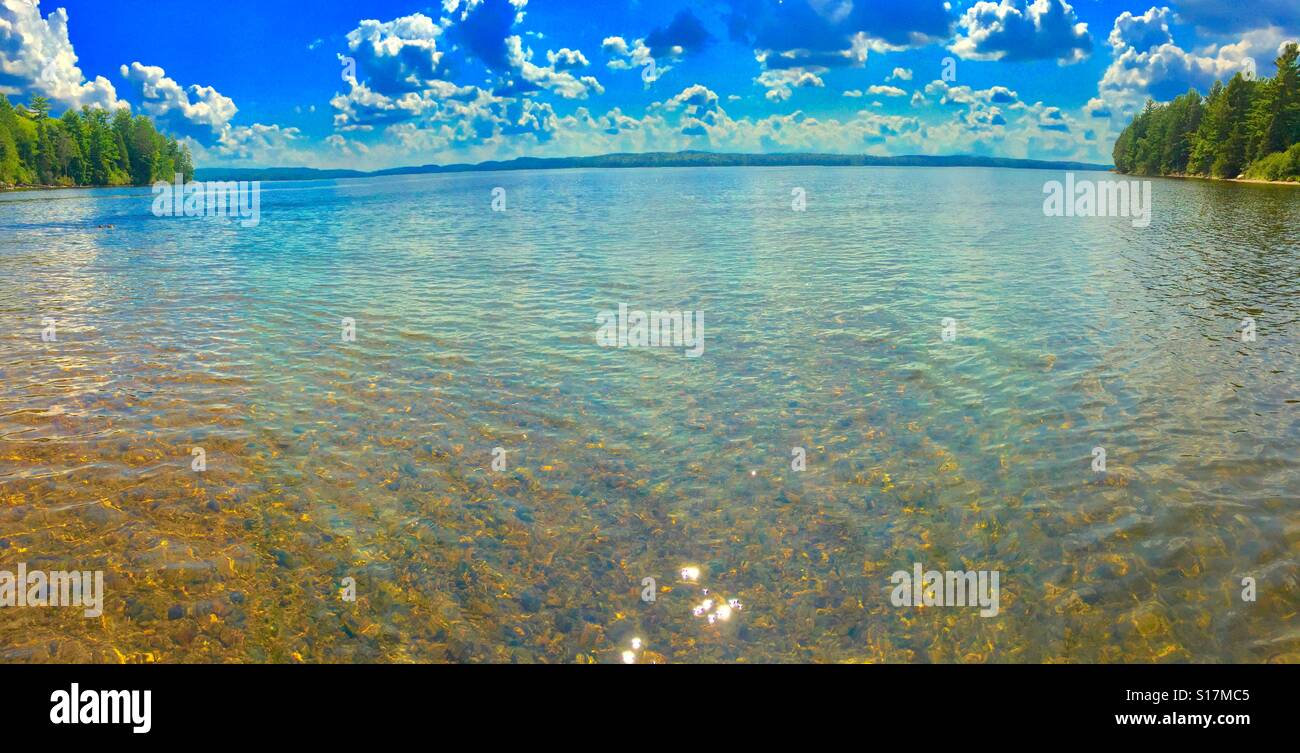 Sand Beach Rock Pebble Bottom At Forest Hills Stock Photo - Alamy