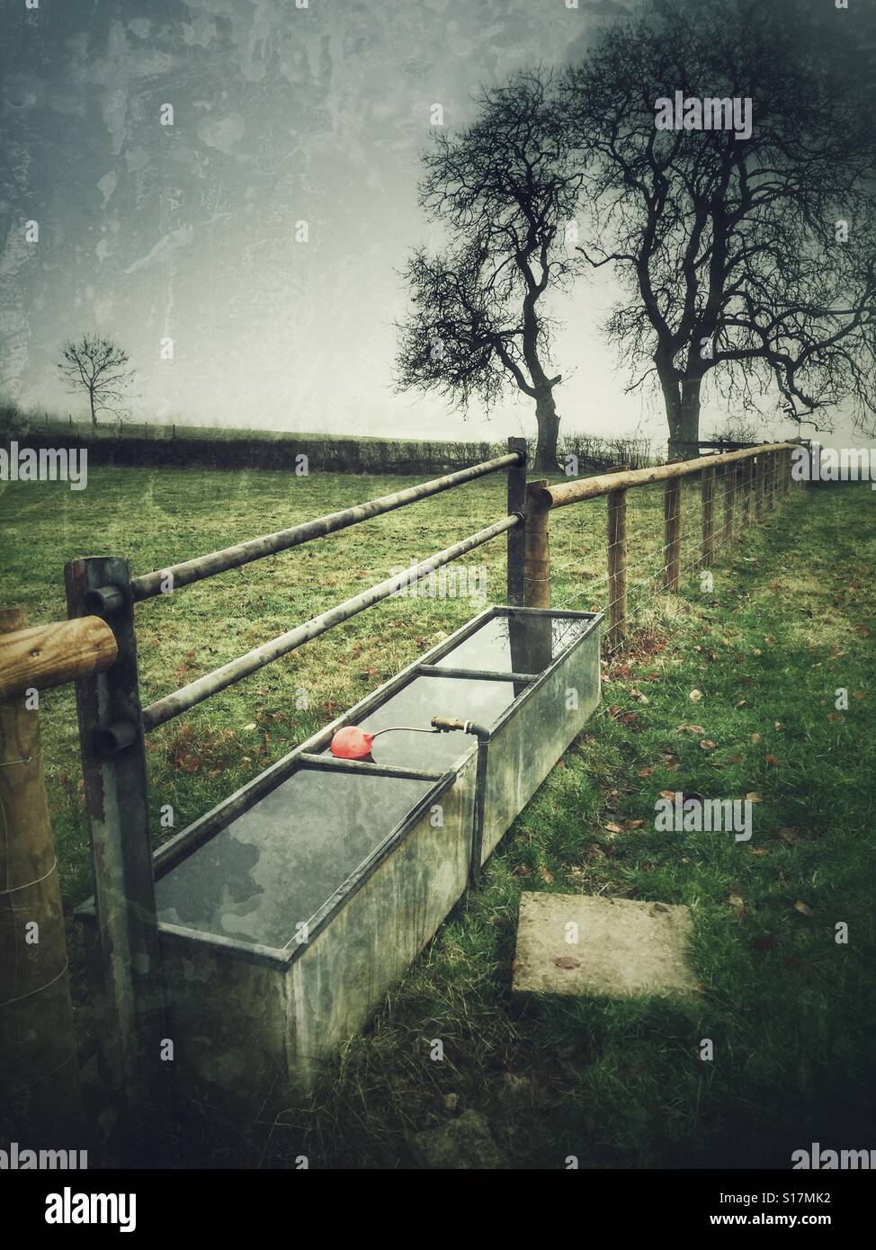 Farm Water Trough Stock Photos & Farm Water Trough Stock Images - Alamy