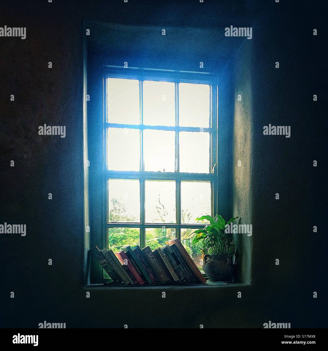 Plant books hi-res stock photography and images - Alamy