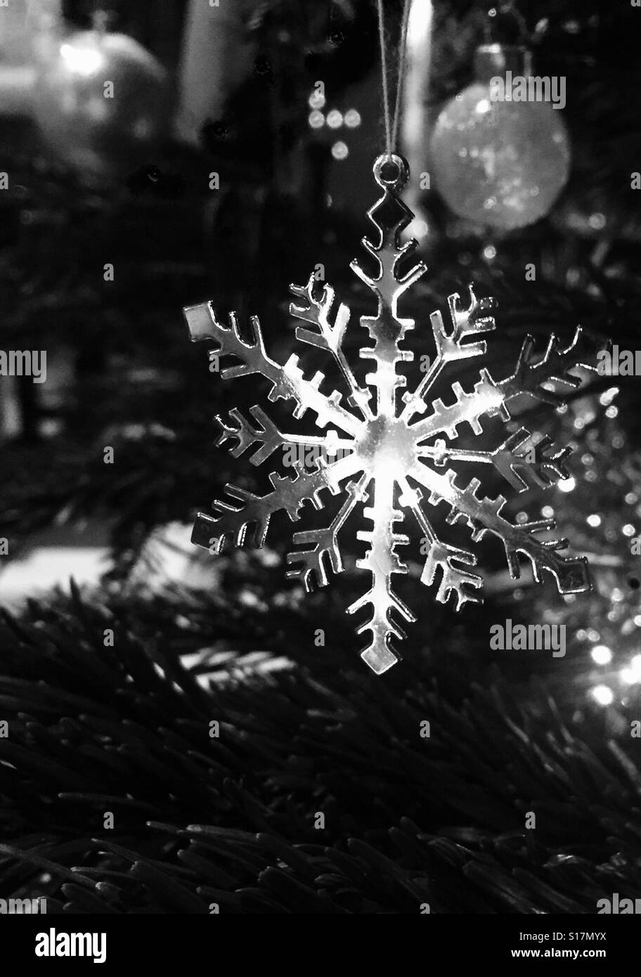Reflections in a snowflake Stock Photo - Alamy