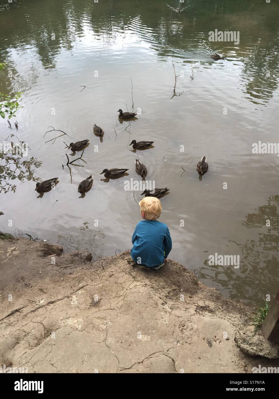 Boy at the duck pond Stock Photo - Alamy