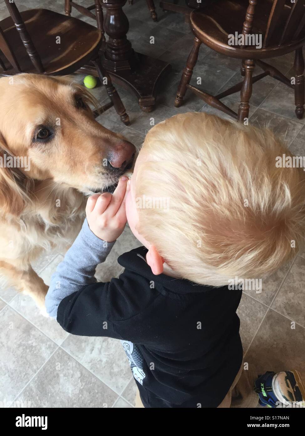 Dog kiss hi-res stock photography and images - Alamy