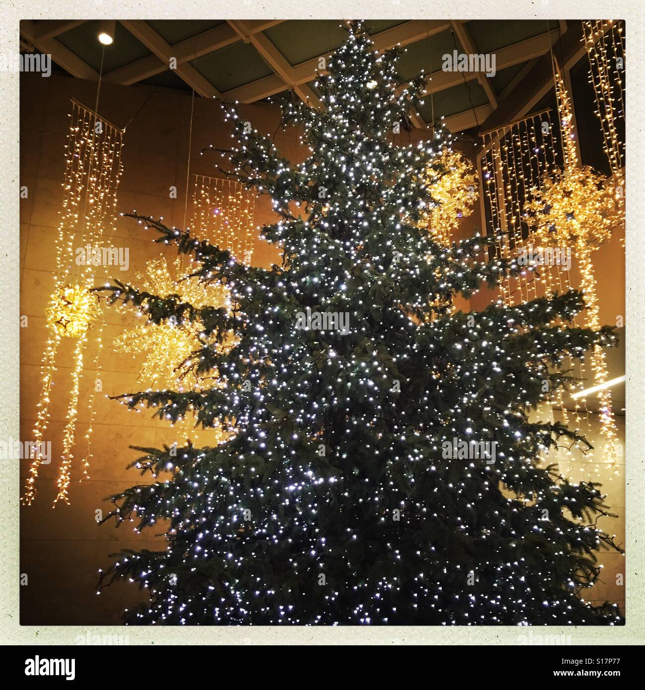 Christmas tree with lights Stock Photo - Alamy