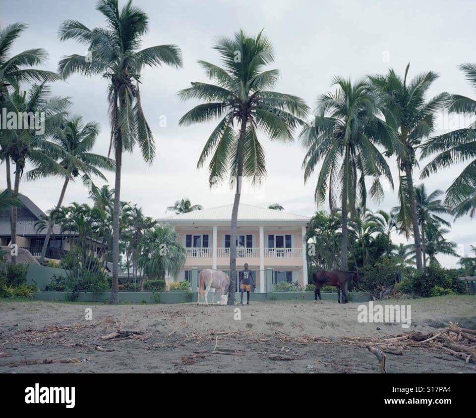 Nadi palm hi-res stock photography and images - Alamy